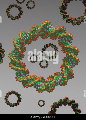 circular DNA plasmid used in gene therapy and cloning of genes Stock ...