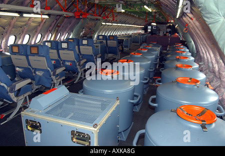 Airbus A380-800 cabin with ballast for testing purposes Stock Photo - Alamy
