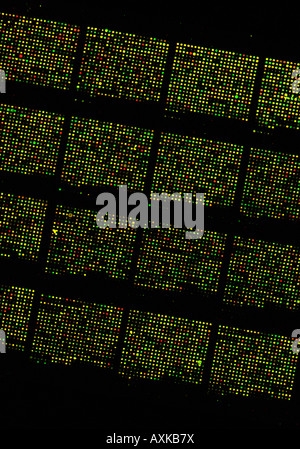 Micro Array DNA Chip, human genome structure Stock Photo - Alamy