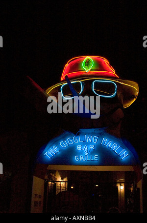 MEXICO Cabo San Lucas Giggling Marlin restaurant sign outdoors fish ...