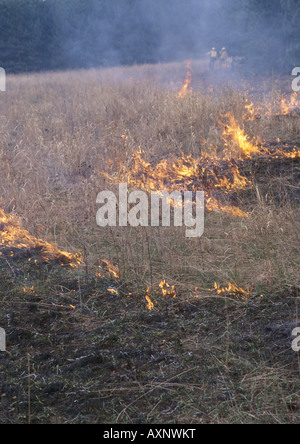 Controlled burn in grasses Stock Photo - Alamy
