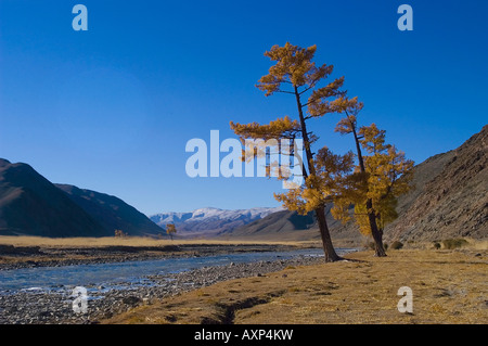 Beautiful Mongolian mountain landscape Bayan Olgi, Mongolia Stock Photo ...
