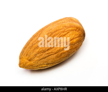 Almond kernel on a white isolated background, close up Stock Photo - Alamy