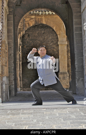 Portrait of Fu Qing Quan Master and authentic descendant of Yang Tai ...