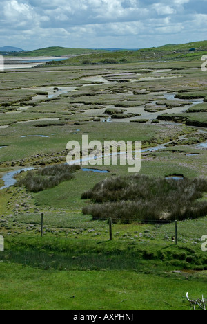Salt Marsh at Mulranny County Mayo Ireland Stock Photo - Alamy