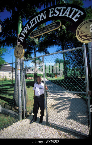 Appleton Estate rum distillery Stock Photo: 3215104 - Alamy