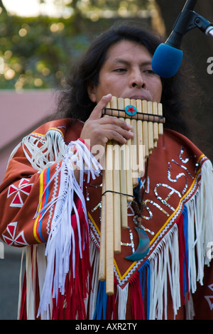Peruvian pan flute Stock Photo - Alamy
