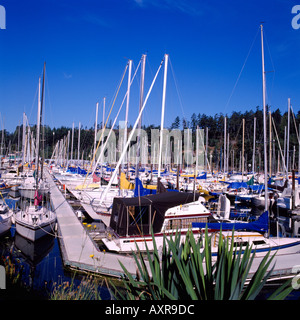 Vancouver Island Sidney Harbour marina British Columbia Canada Stock ...