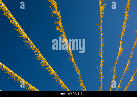 Streamers waving in a breeze Stock Photo - Alamy