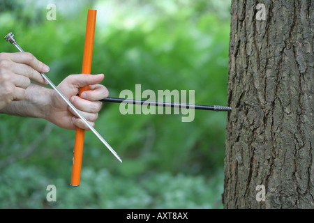 Increment borer for extracting core samples from trees Stock Photo - Alamy