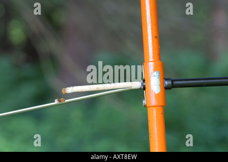 Increment borer: removing the extractor tray with core sample Stock ...