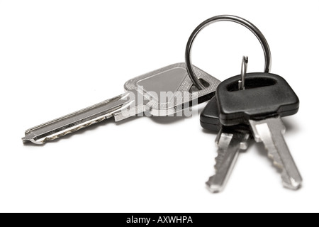 ring, macro, close-up, macro admission, close up view, detail, closeup ...