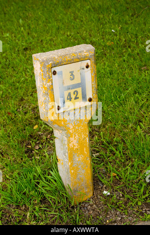 Yellow H fire hydrant location sign on a lamp post showing diameter ...