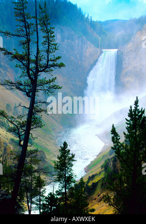 Vertical scenic view of a massive rock cliff wall overlooking a green ...