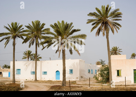 Typical old Houses of Djerba. Region of Mahboubine.Tunisia Stock Photo ...