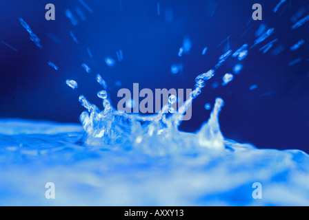 Water splash or drop. Water splash close-up. Blue water drop. Falling ...