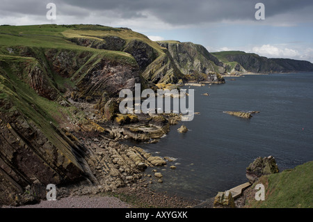 Beautiful Cliffs of Scotland, St Abb's Head, UK Stock Photo - Alamy