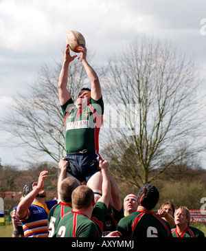 English amateur Rugby Union players playing in a league game and packed ...