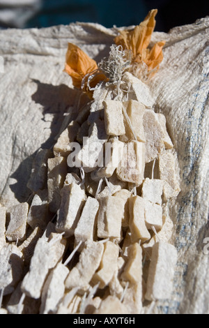 Bhutan, food, dried yak cheese hung on string for sale on road to Dochu ...
