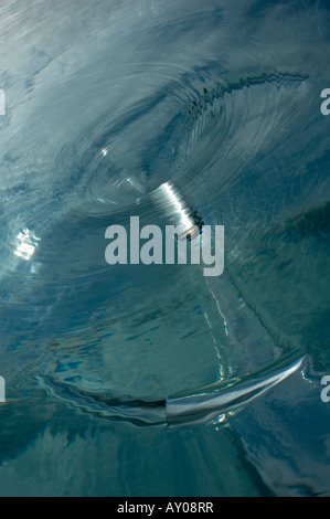 A whirlpool in a water feature Stock Photo - Alamy
