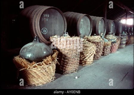 madeiran wine casks fermenting and ageing in loft of vineyard brewery ...