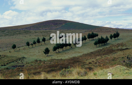 Landscape around the village of Chugchilan near Latacunga in Ecuador ...