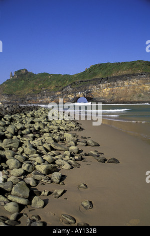 Eastern Cape coastline viewed from Morgan Bay cliffs Morgan Bay Stock ...