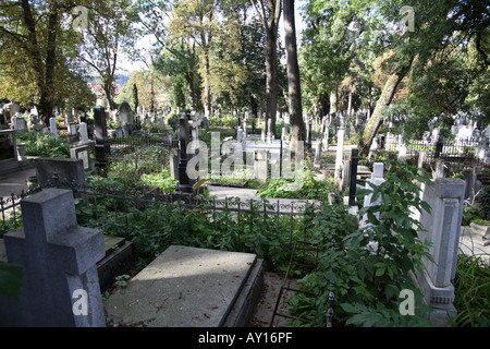 Cemetery. Cluj-Napoca, Transylvania, Romania Stock Photo - Alamy