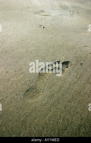 Take only memories, leave only footprints. Rearview shot of a young ...