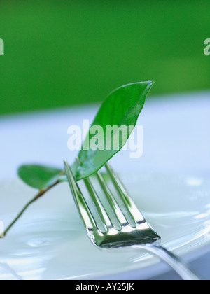 Close-up of Narra leaves and a fork in a plate (Pterocarpus Indicus ...
