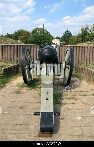 Rear view (looking north) of the defensive position at the American ...