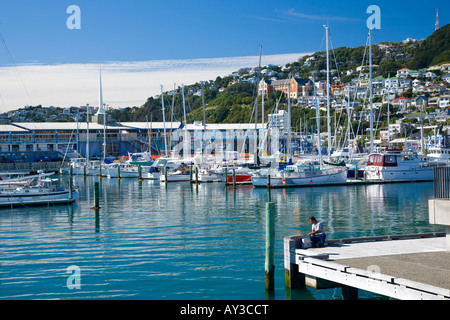 Wellington's Chaffers Marina Stock Photo - Alamy