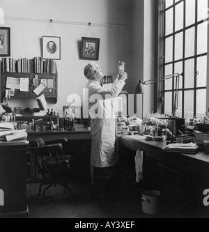 SIR ALEXANDER FLEMING - Scottish bacteriologist and discovere of ...