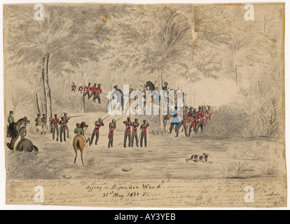 BATTLE OF BOSSENDEN WOOD Stock Photo - Alamy