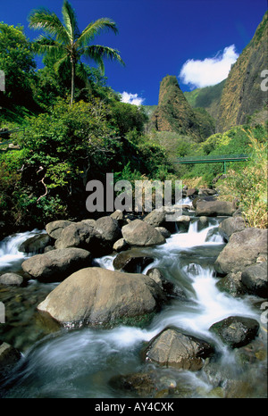 USA: Hawai Maui Iao Valley State Park hills covered with tropical ...