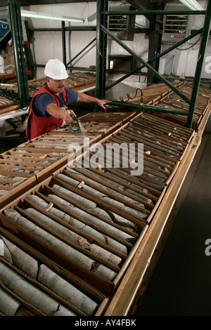 Technical logging of core samples in core shed by geologist, surface ...