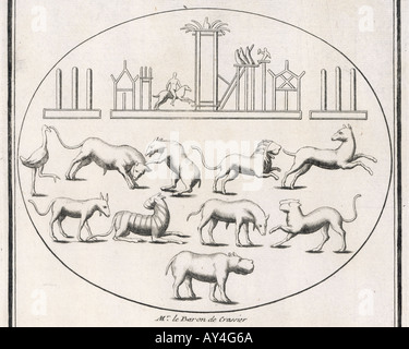 BEASTS IN ROMAN ARENA Stock Photo - Alamy