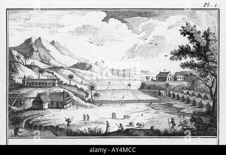 Showing the function and layout of a sugar plantation in the French ...