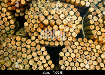 Burmese Cheroots at a small cottage industry Cheroot Factory in ...