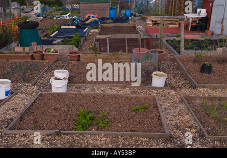 Formal plots at Lady Mary Allotments Cardiff South Wales UK EU Stock ...