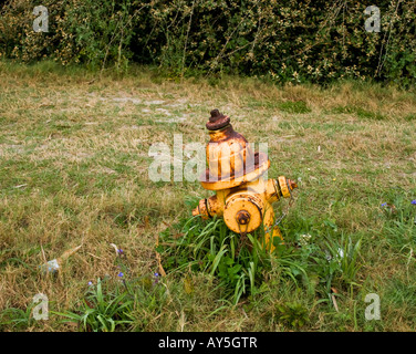 Old fire hydrant overgrown with weeds Stock Photo - Alamy