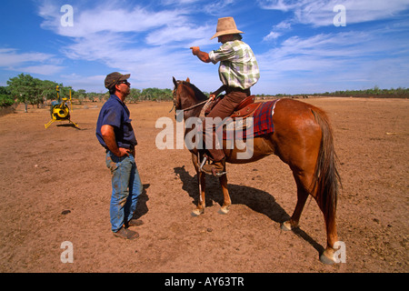 Mustering cattle, outback Australia Stock Photo - Alamy