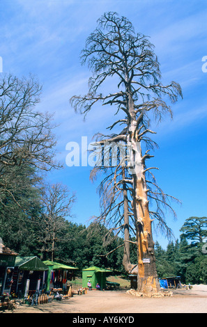 Morocco Le Moyen Atlas Azrou Region Ito scenery Stock Photo - Alamy