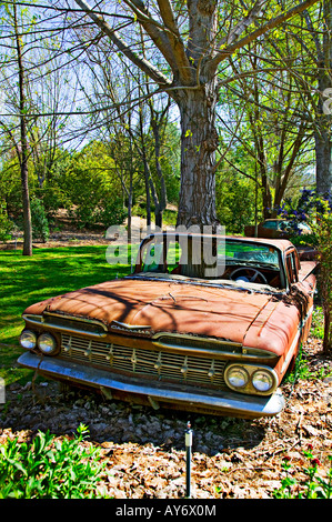 Old car with tree growing out of engine bay and dinghy stuck in tree ...