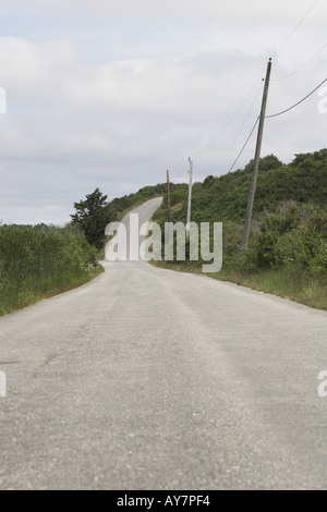 One country road divides into two roads Stock Photo - Alamy