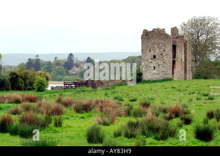 The Old Castle, The Crom Estate, Co Fermanagh, Northern Ireland Stock ...