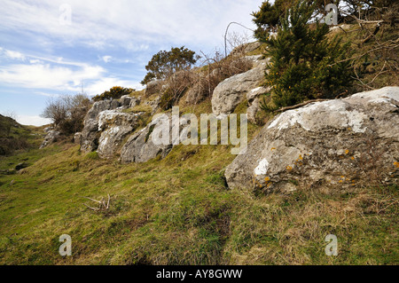 Limestone Cliffs and Rock Formations Ubley Warren Blackdown ...
