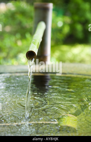 A close-up image of a water spigot, a common fixture for accessing ...