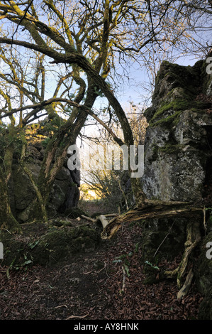 Limestone Cliffs and Rock Formations Ubley Warren Blackdown ...