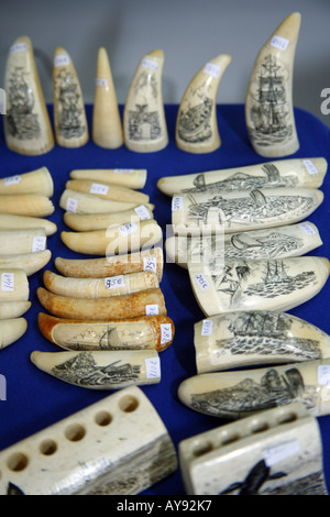Scrimshaw - carved Sperm whale teeth (Physeter macrocephalus Stock ...
